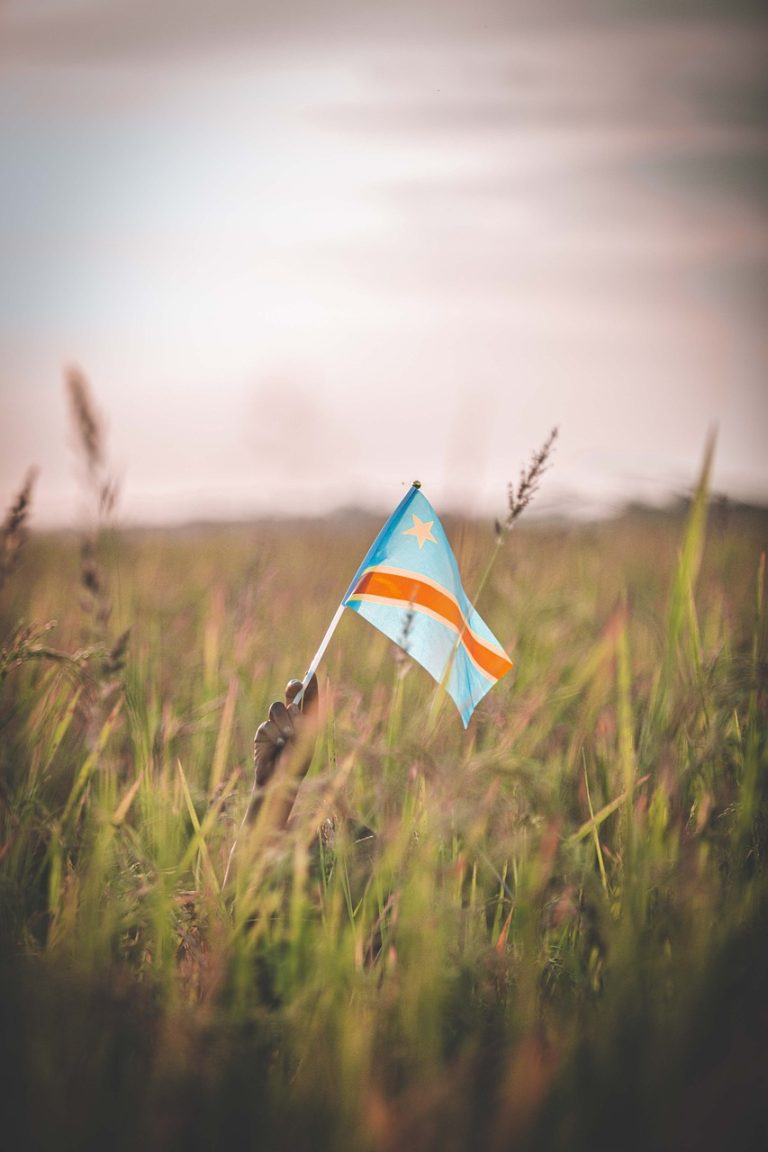 Protéger la forêt du bassin du Congo : un défi vital pour l'Afrique et ...